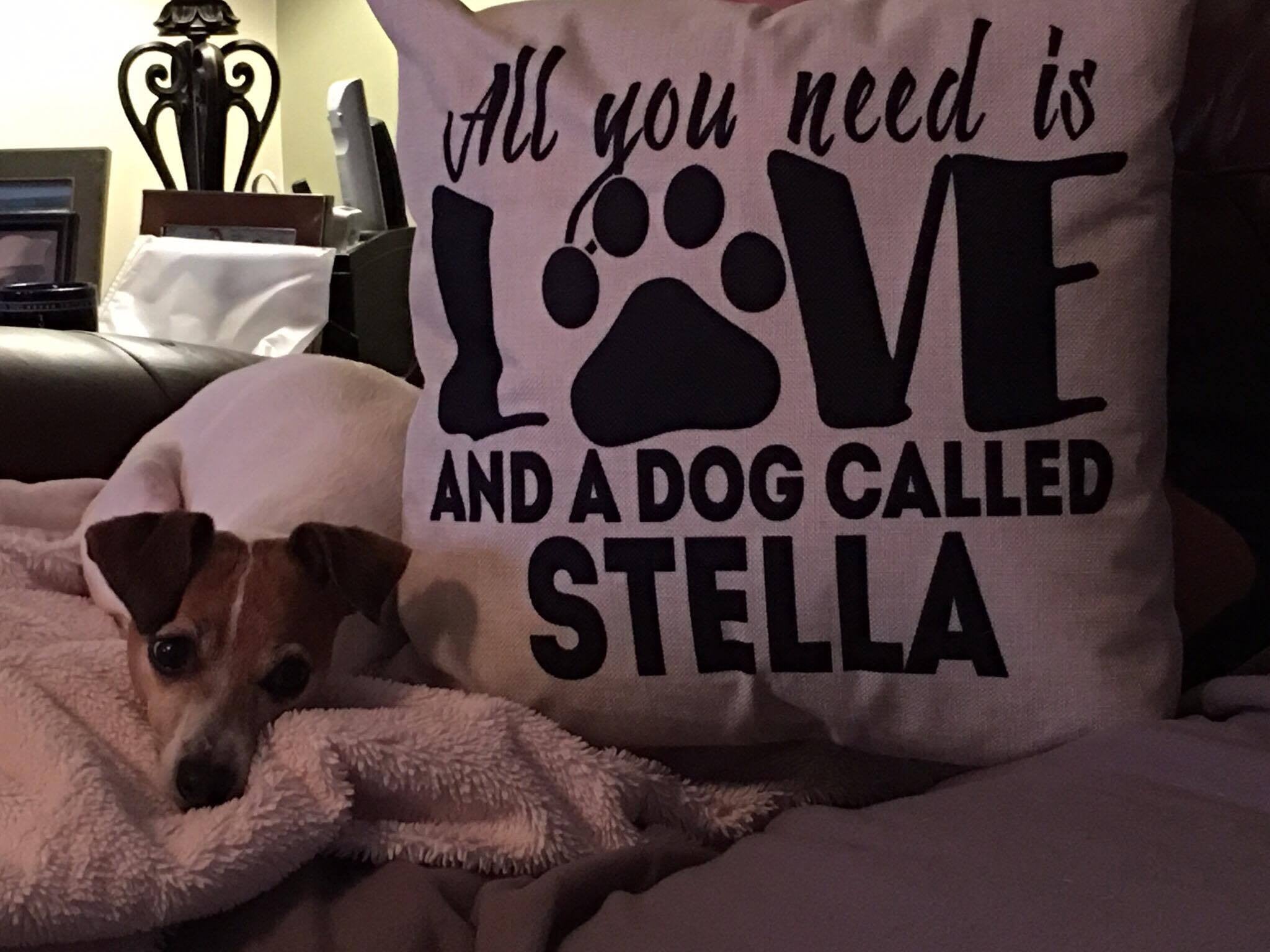 Stella – MostlyPaws
